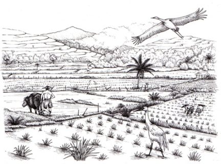 Inspirations: The C4 Rice Project - Lizzie Harper