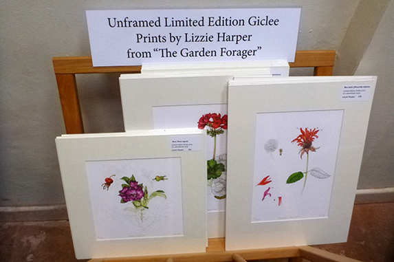 Lizzie Harper botanical illustrator exhibition giclee prints - Lizzie ...