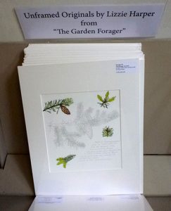 Lizzie Harper botanical illustrator exhibition unframed - Lizzie Harper