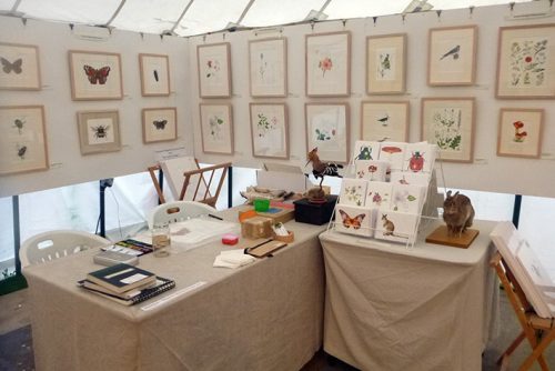 Natural History Illustration at Art in Action - Lizzie Harper