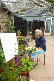 Botanical Illustration Workshop: The Walled Garden - Lizzie Harper