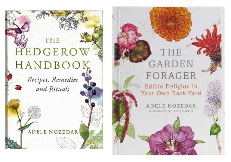 Botanical Illustration Live: Hawthorn - Lizzie Harper