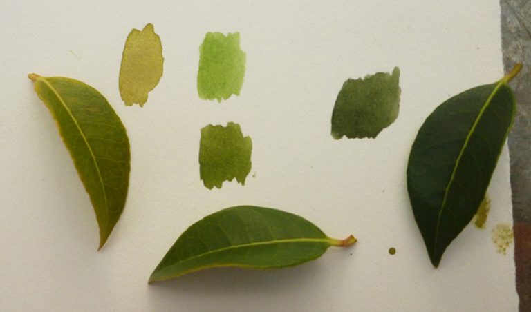 Leaf painting workshop - Lizzie Harper