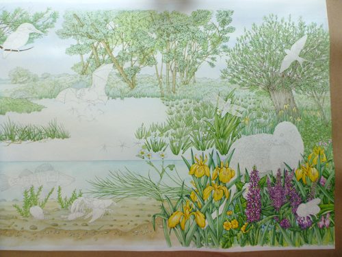 Illustrating a Water Meadow Landscape - Lizzie Harper