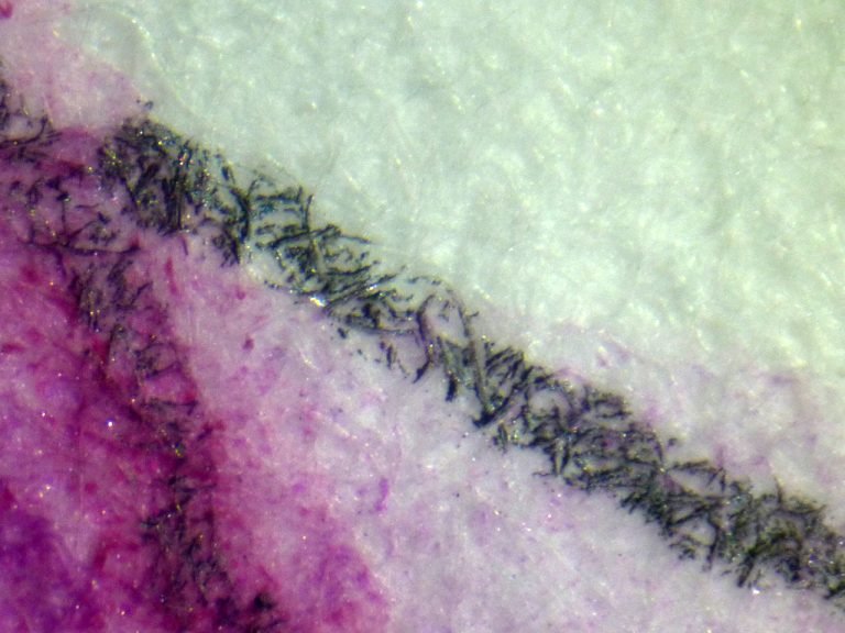 Botanical Illustration: Comparing HP Watercolour Papers 3 - Lizzie Harper