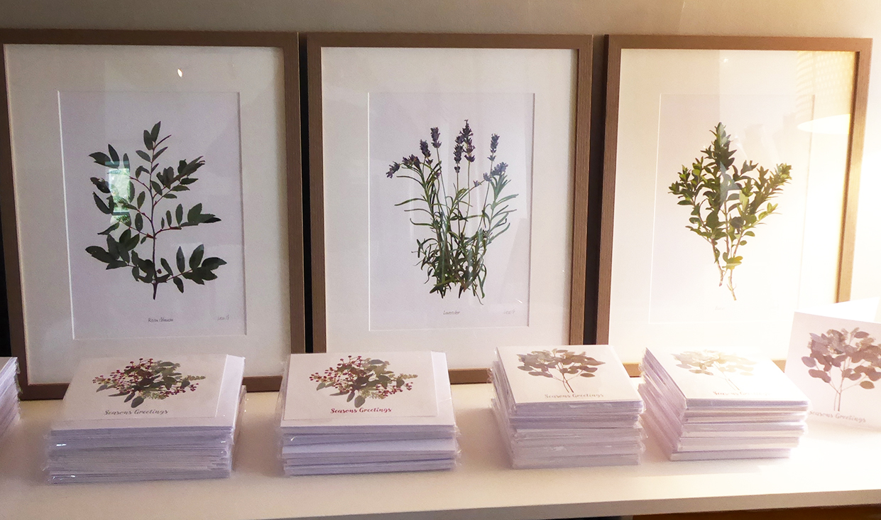 Hereford Art Week - Lizzie Harper