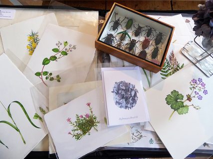 Hereford Art Week - Lizzie Harper