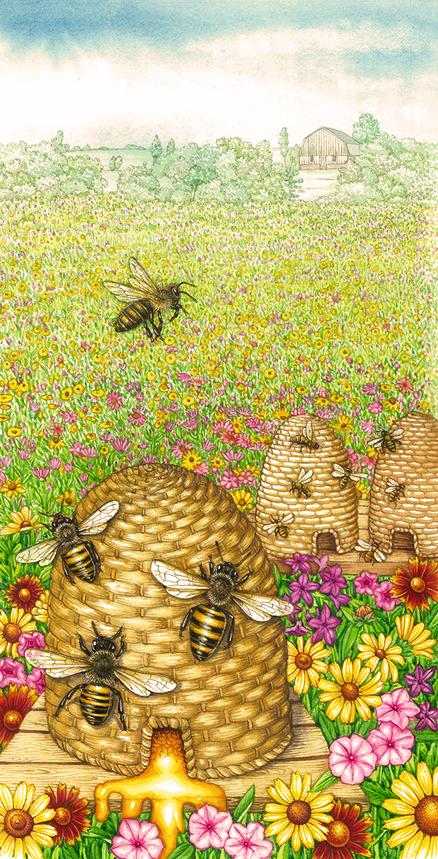 honey label illustration by Lizzie Harper - Lizzie Harper