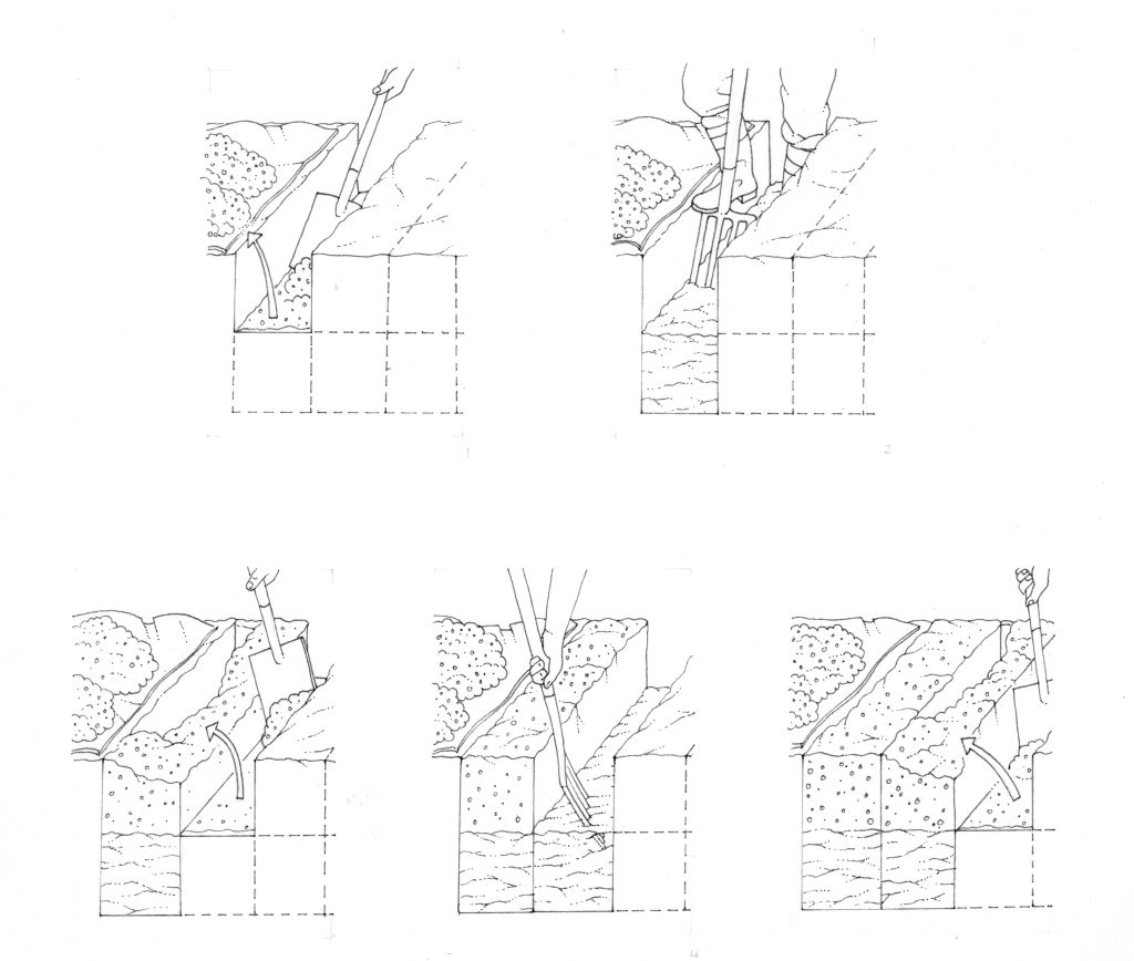Double digging 2 - Lizzie Harper