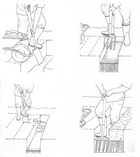 Double digging - Lizzie Harper