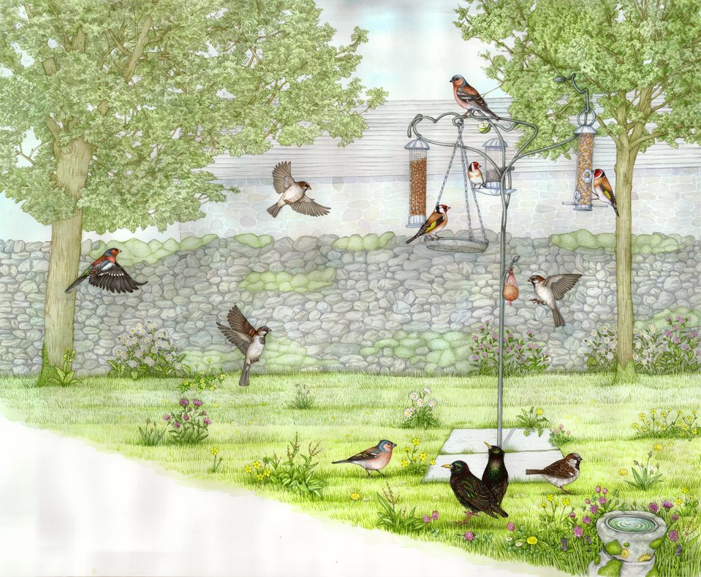 View of a garden with birds visiting bird feeders - Lizzie Harper