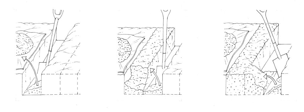 Single digging - Lizzie Harper