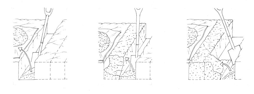 Single digging - Lizzie Harper