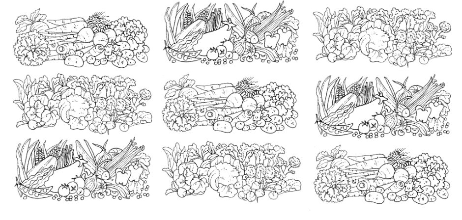 Vegetable crop rotation 2 - Lizzie Harper