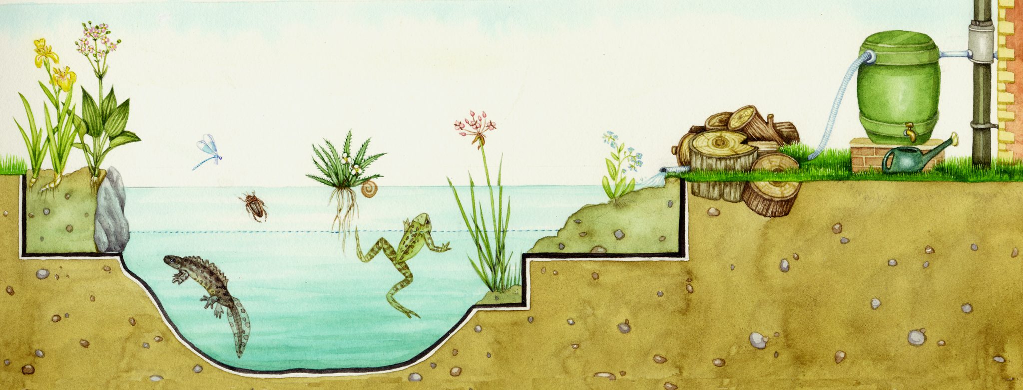 Good Garden: A wildlife Haven - Lizzie Harper
