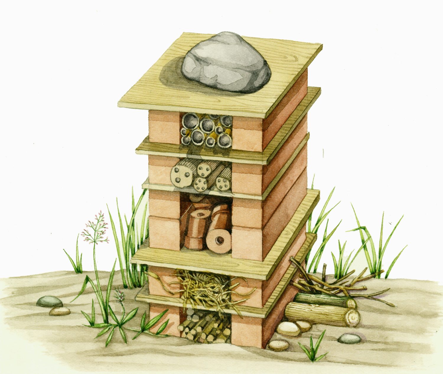Support the Bees & Save the World: by Gus Stewart - Lizzie Harper