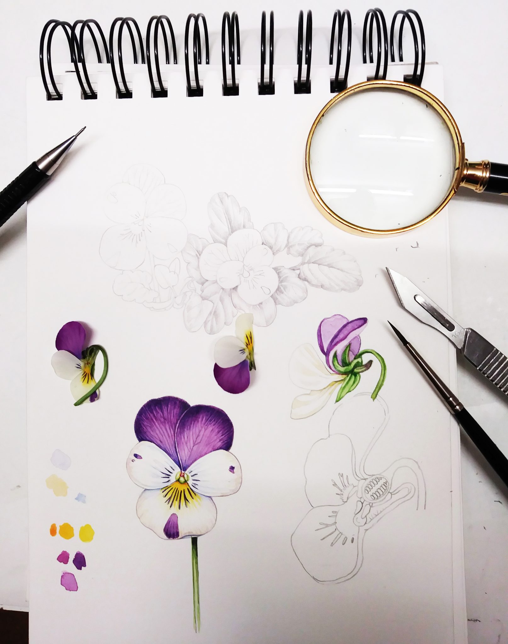 How Art And Drawing Can Combat Stress - Lizzie Harper