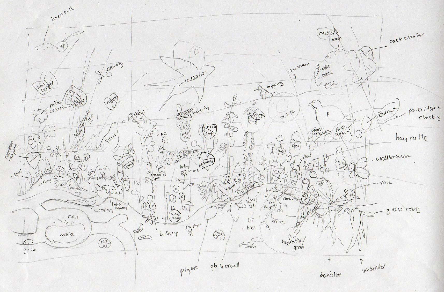 BBC basic rough illustration by Lizzie Harper - Lizzie Harper