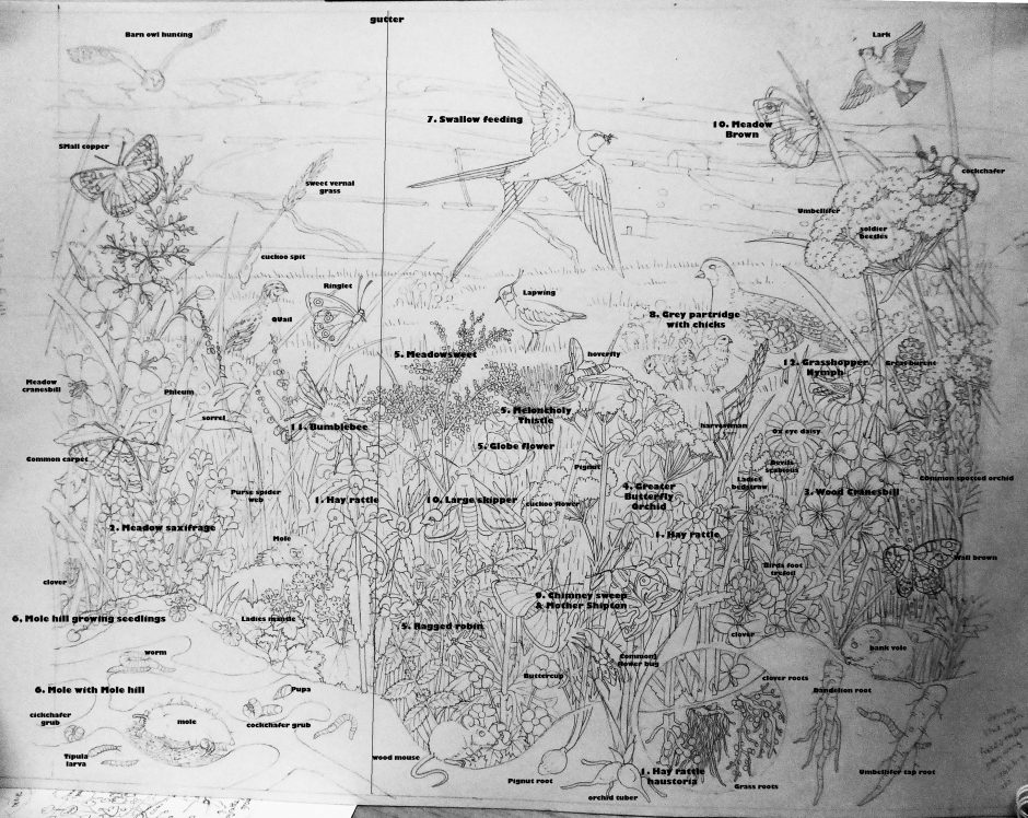 The Process of Illustration - Lizzie Harper