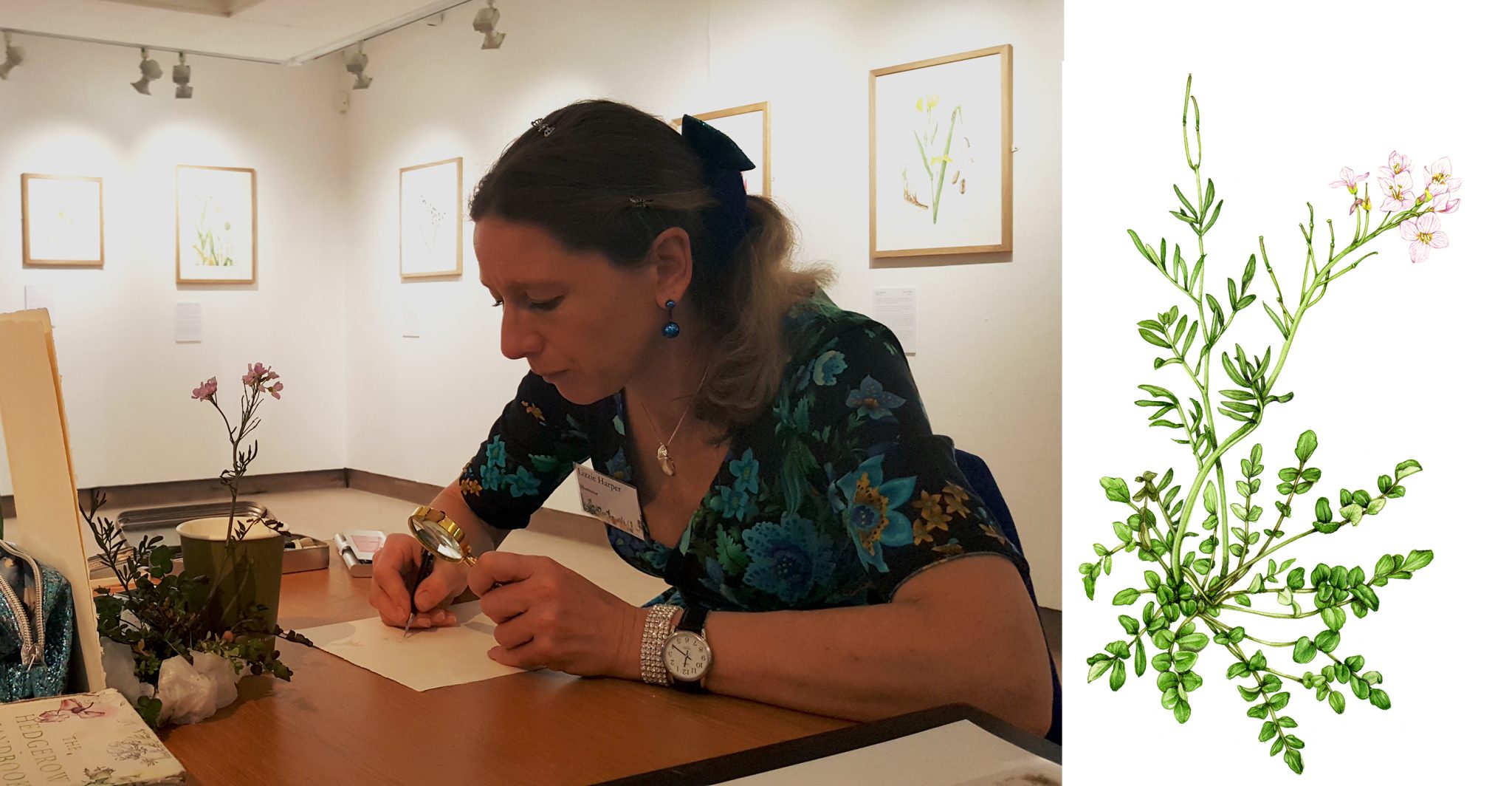 Guest Blog: Seven drawing exercises by Nathan Hughes - Lizzie Harper