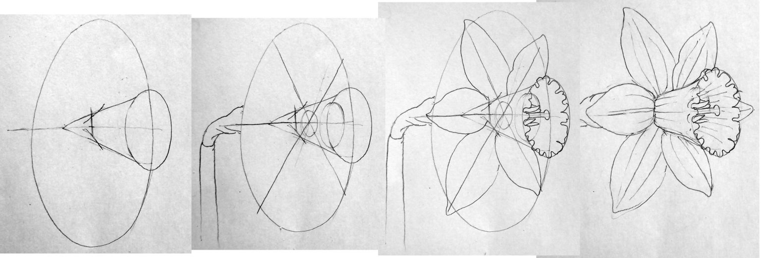 Guest Blog: Seven drawing exercises by Nathan Hughes - Lizzie Harper