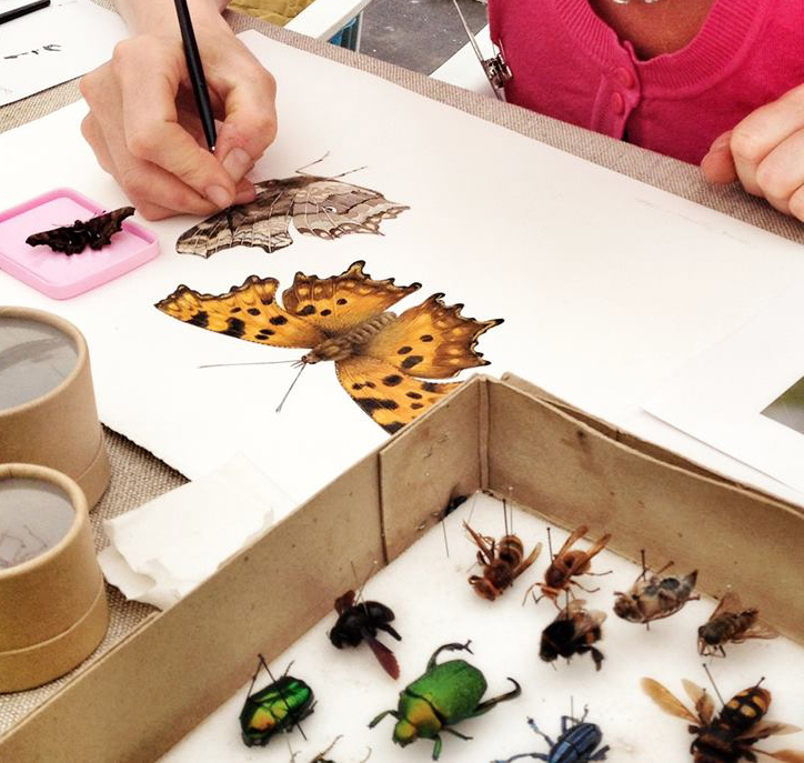 Lizzie Harper painting a comma butterfly - Lizzie Harper