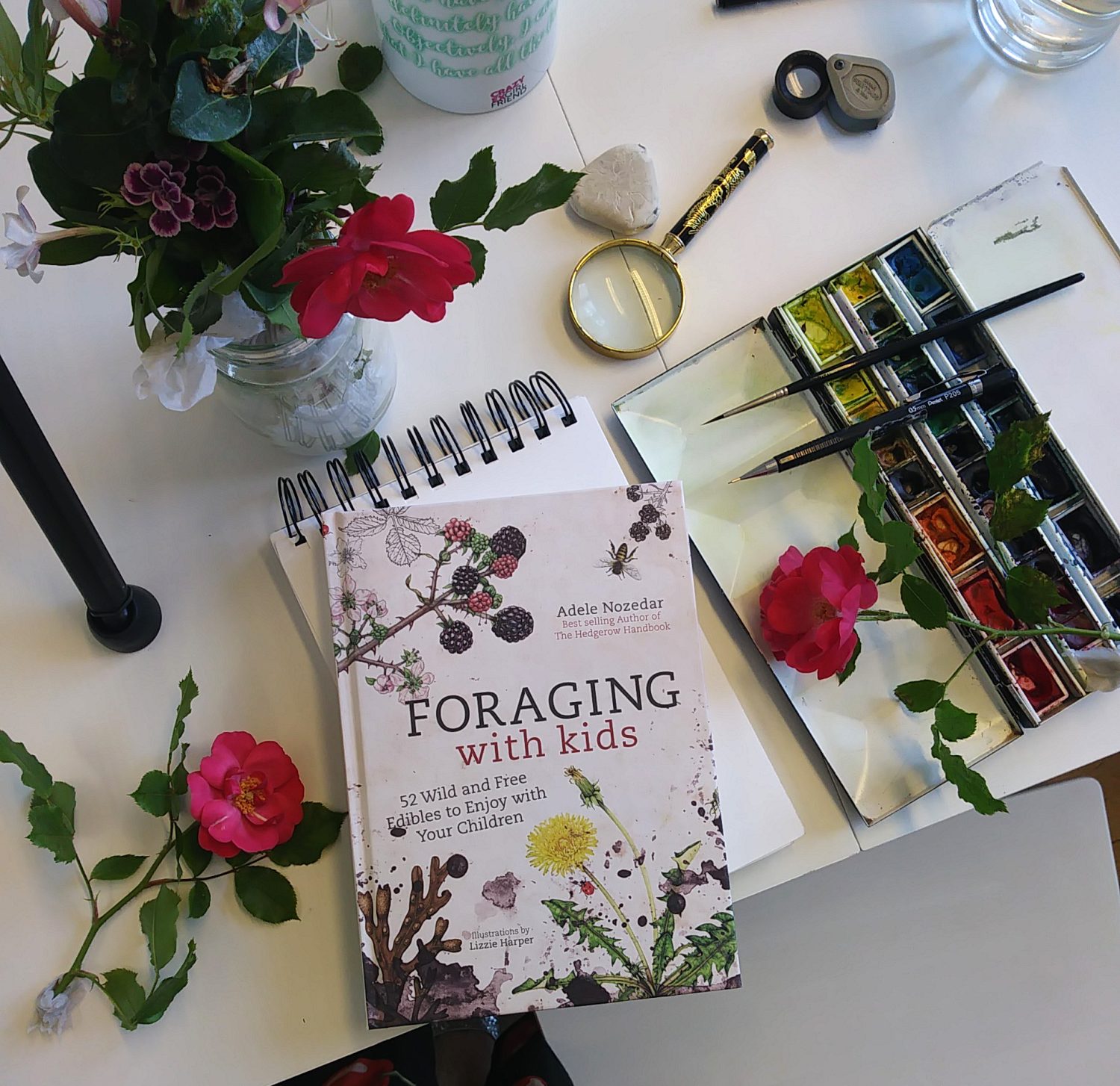 Foraging with Kids Illustrations - Lizzie Harper