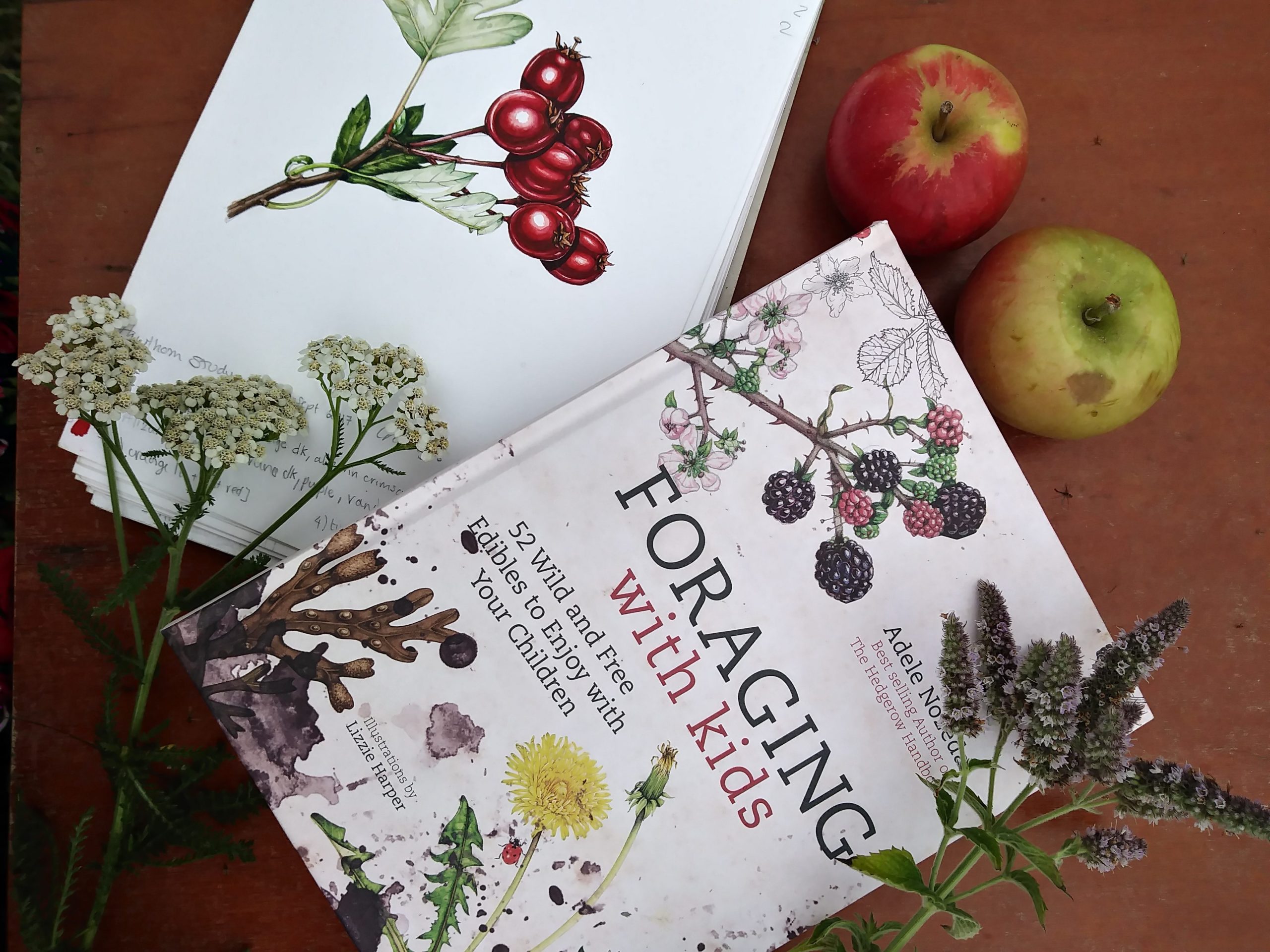 Foraging with kids wholesome photo - Lizzie Harper