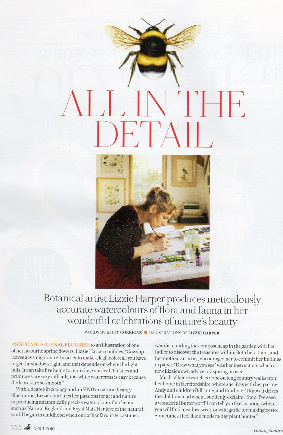 Country Living 2016 Lizzie Harper and White-tailed bumblebee Bombus ...