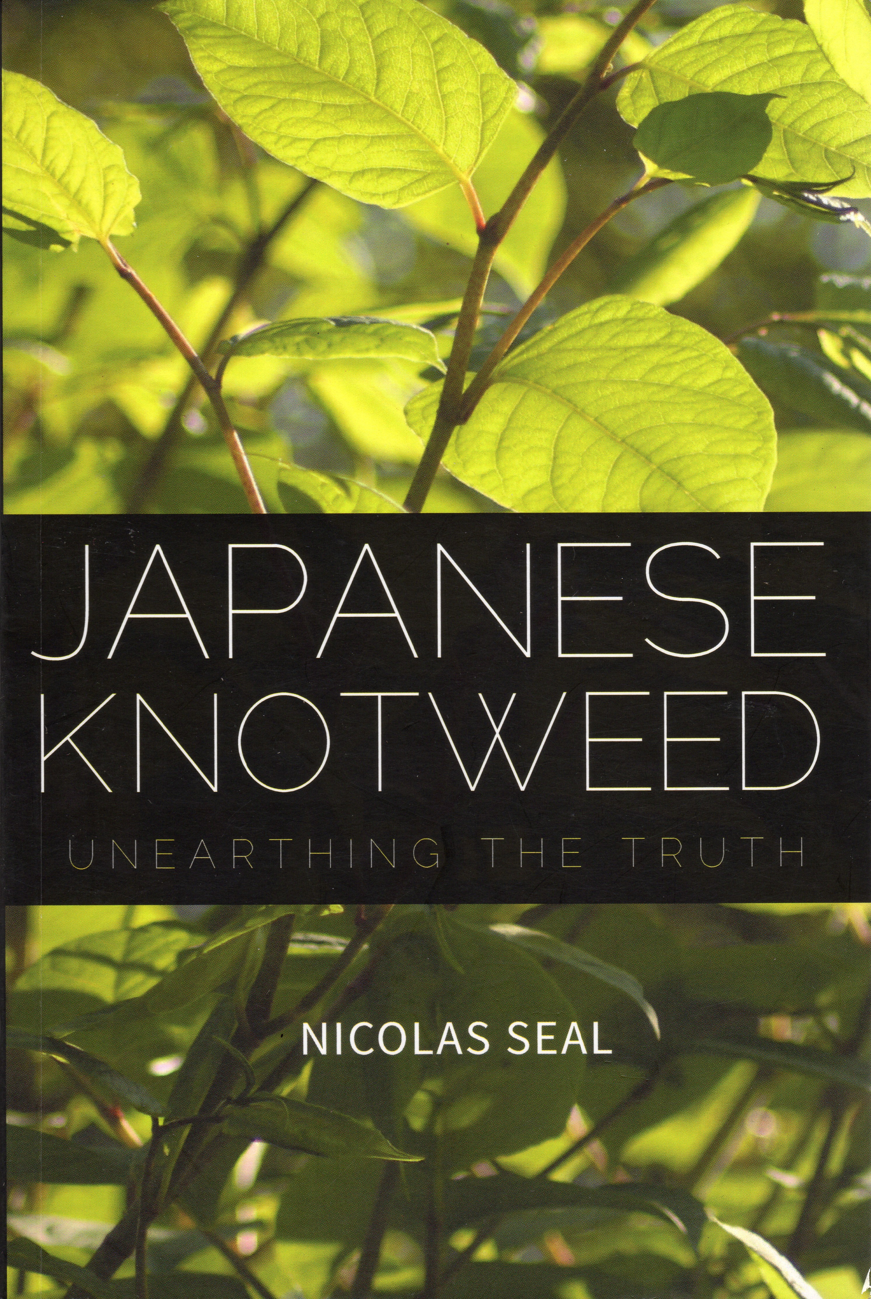 Japanese Knotweed by Nicolas Seal - Lizzie Harper