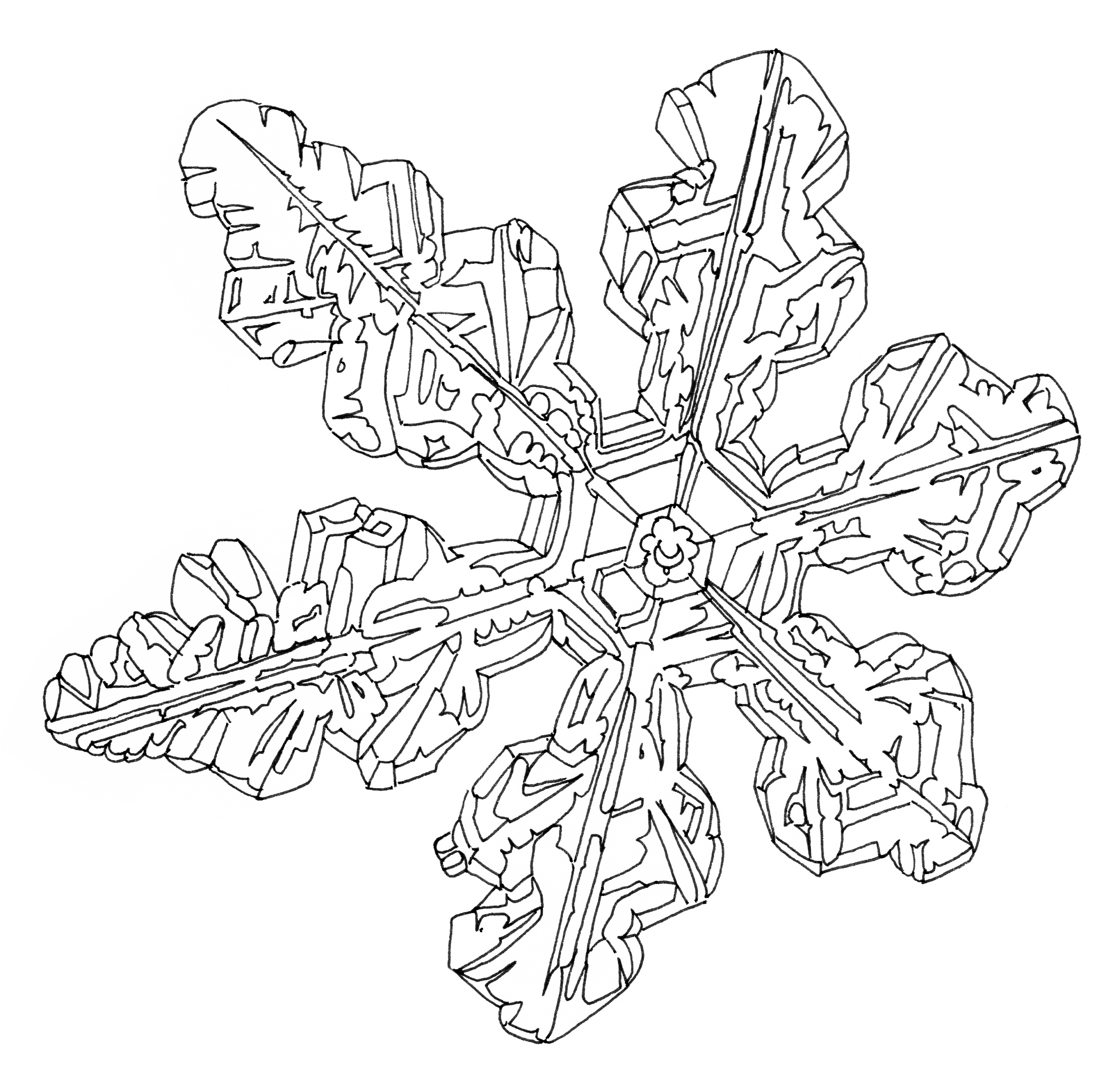 Frozen Snowflake Coloring Page Cute Princess In A Winter Landscape