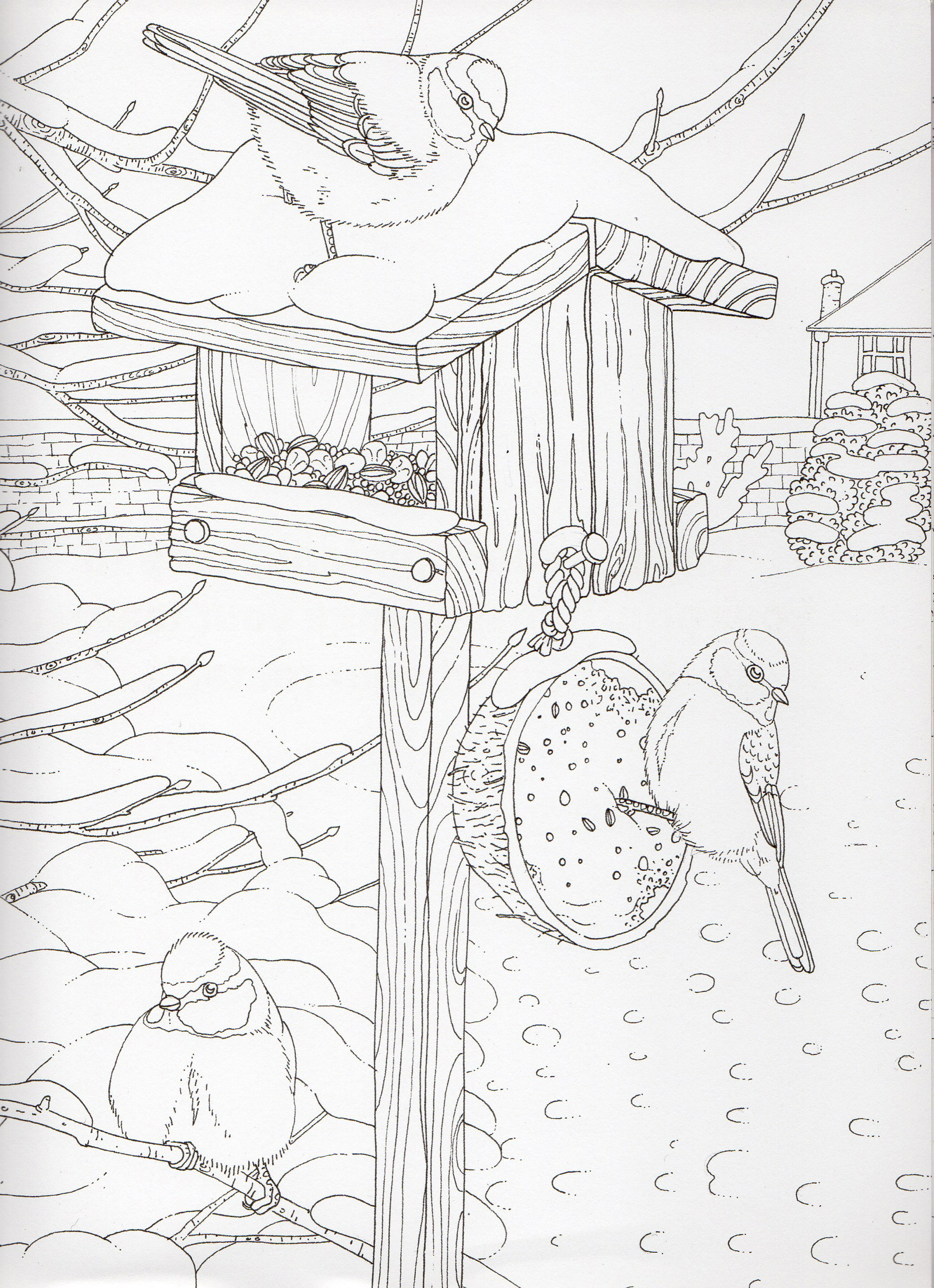 Winter wonderland blue tits bird feeder - Lizzie Harper