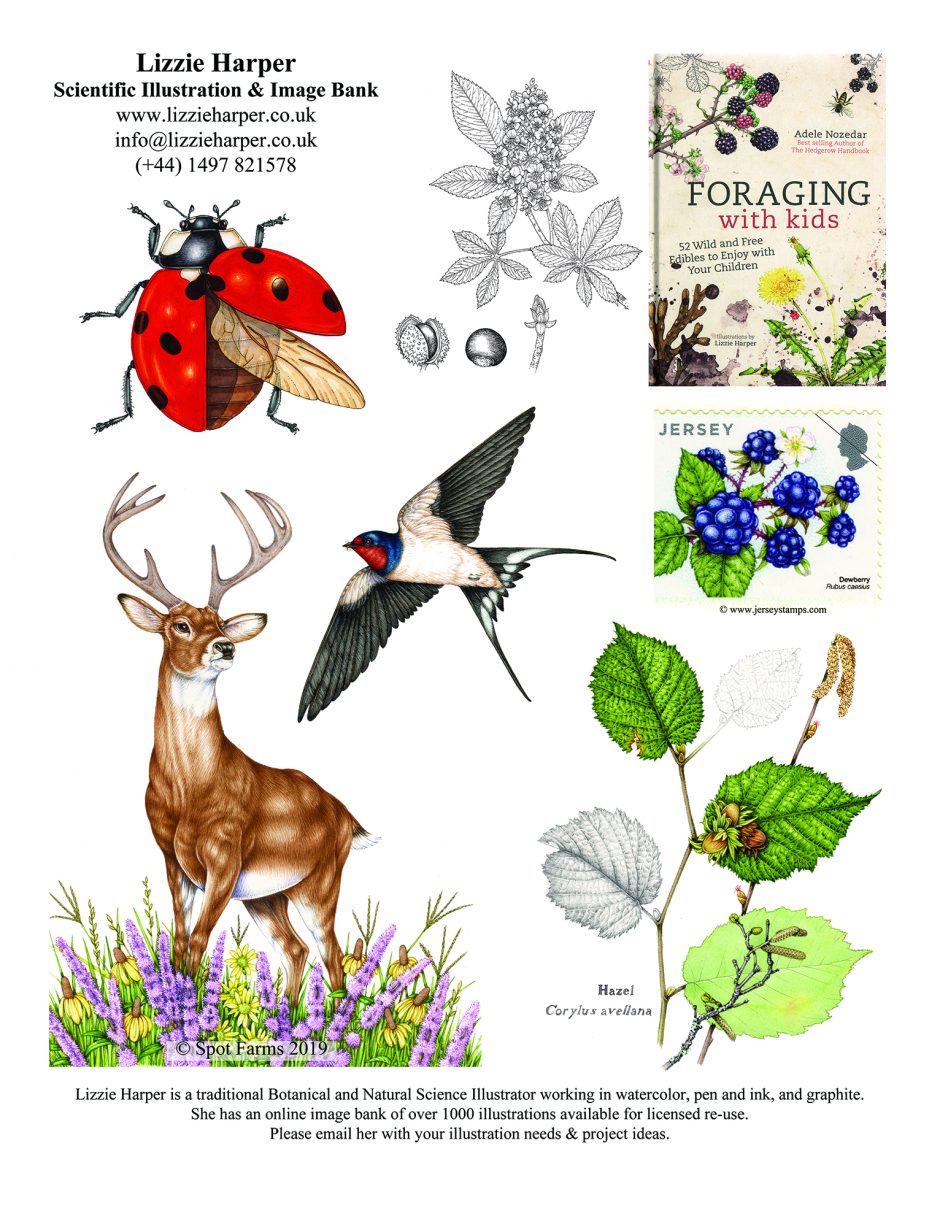 Frequently Asked Questions, Equipment, and Reference books - Lizzie Harper