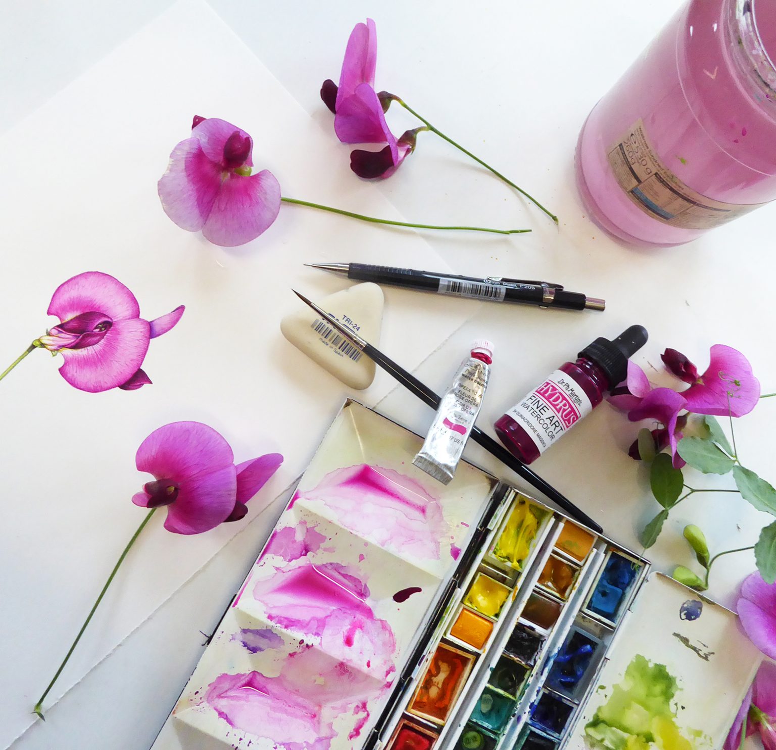 Botanical Illustration step by step Archives - Lizzie Harper