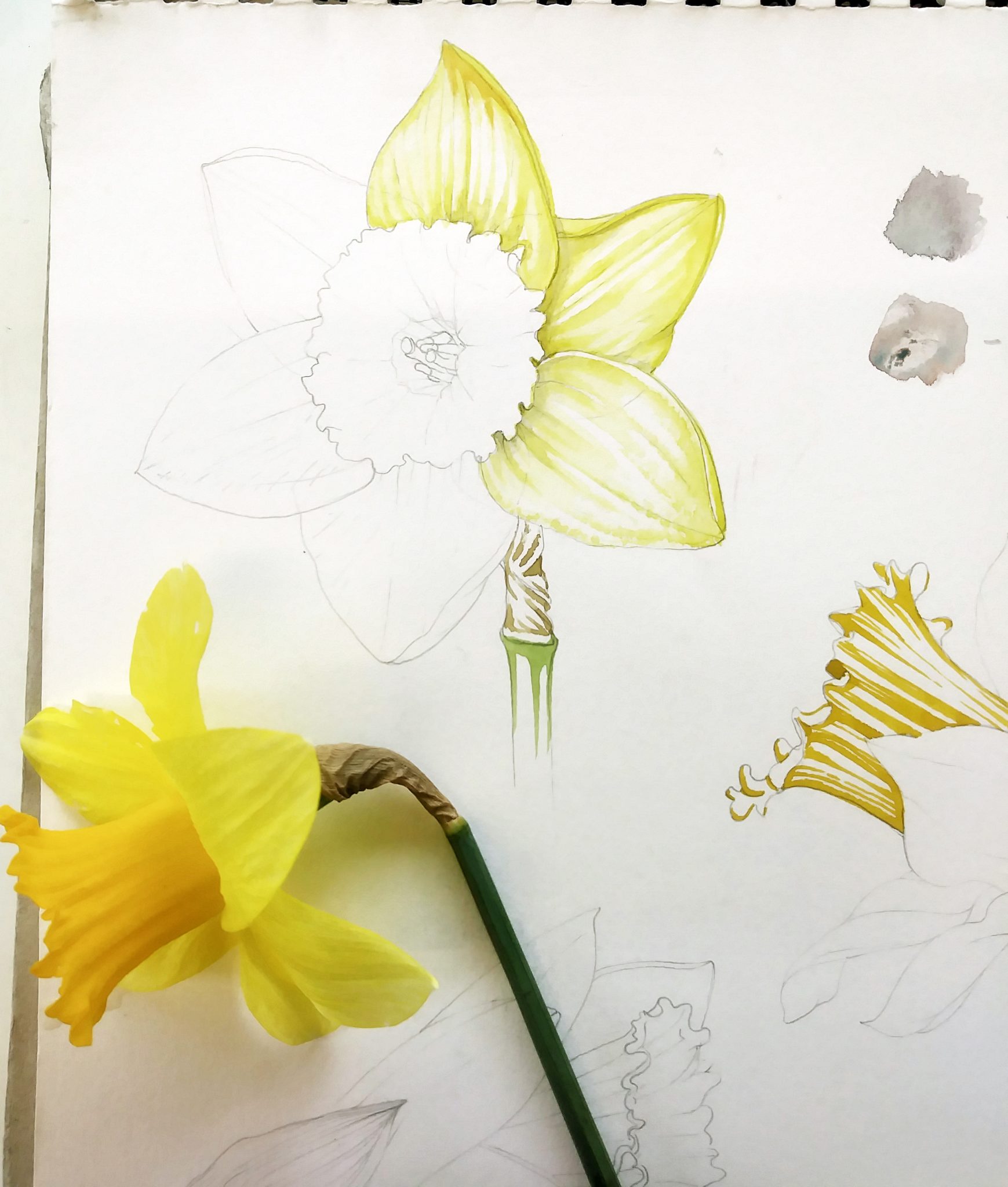 Mixing Neutral Tints and Colours - Lizzie Harper