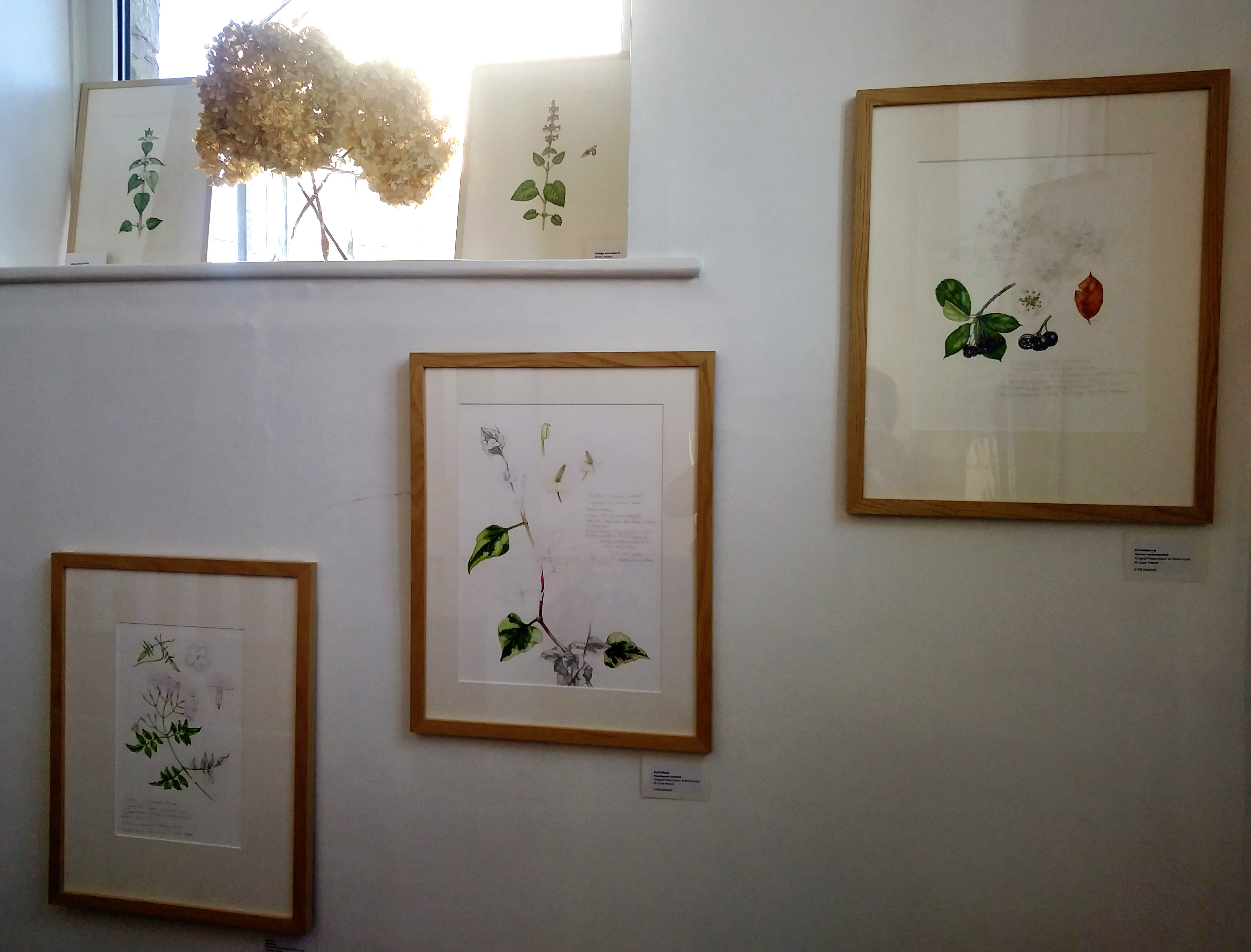 Sold Botanical & Animal illustrations Archives - Page 3 of 8 - Lizzie ...