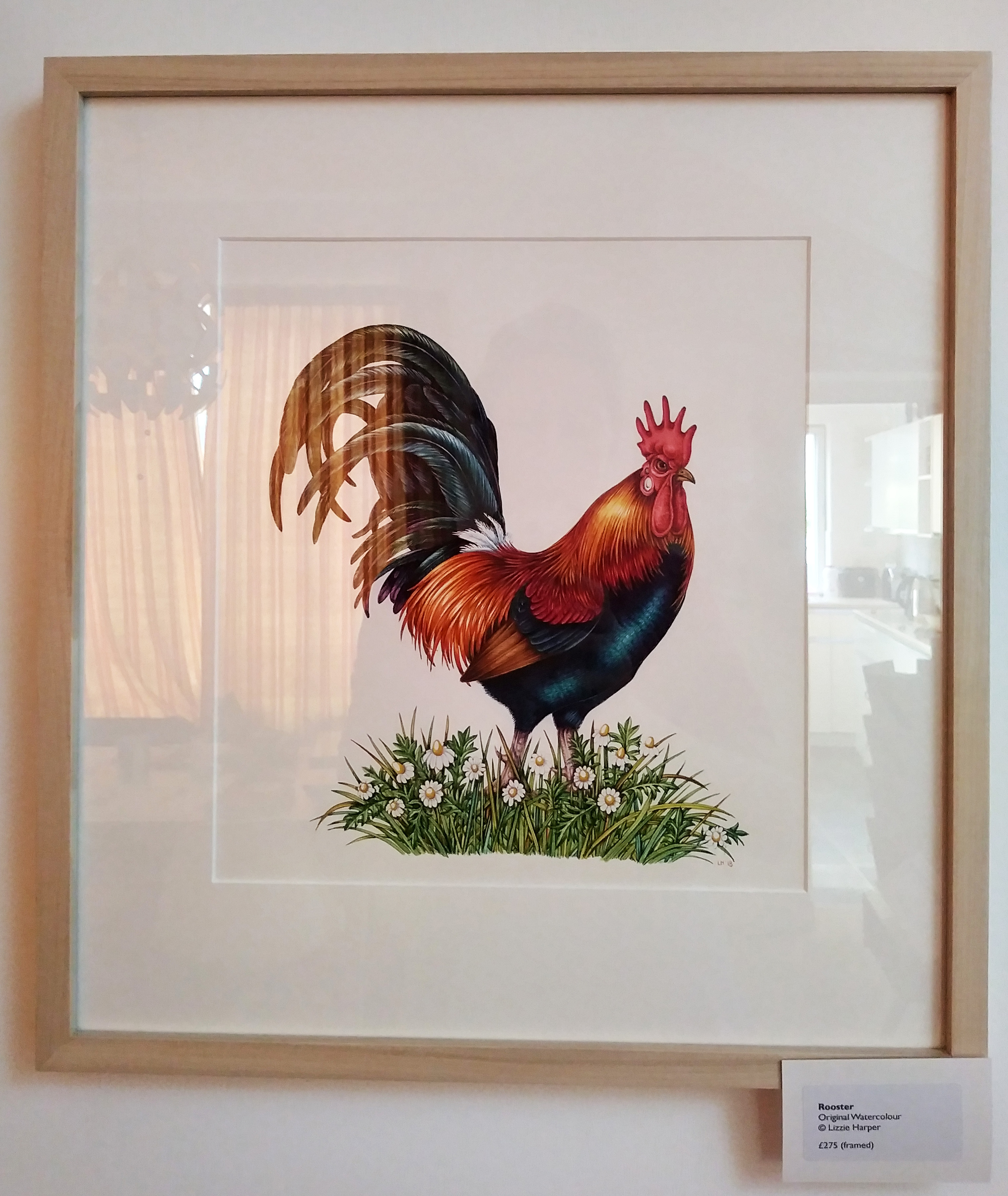 Framed Original Animal Illustrations Archives - Lizzie Harper