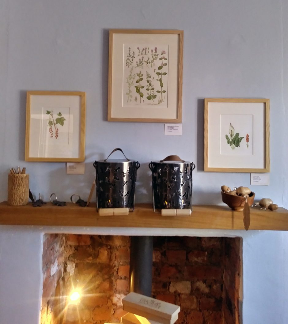 Original Illustrations for sale - Lizzie Harper