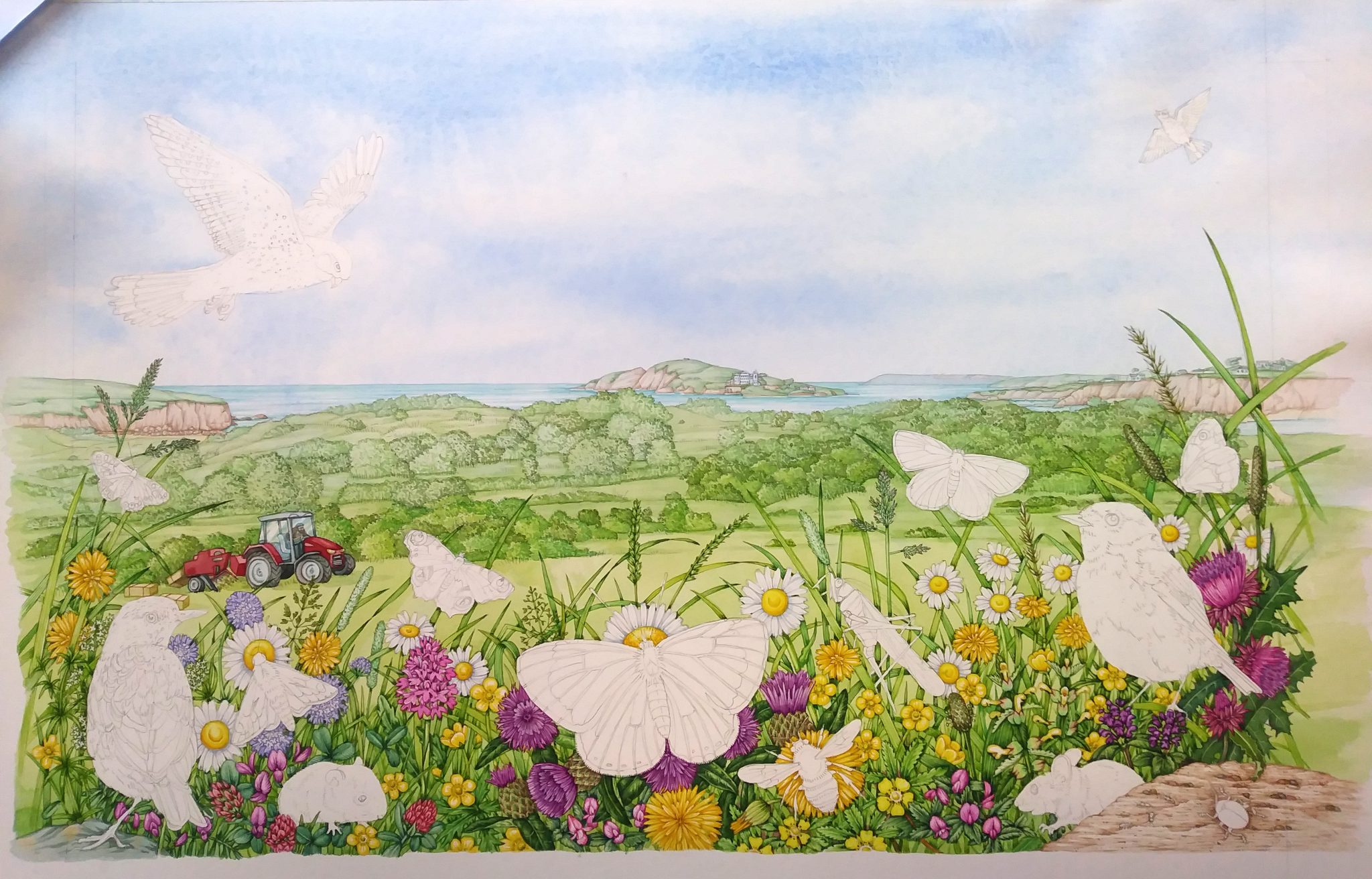 Illustrating a Coastal Hay Meadow Landscape - Lizzie Harper