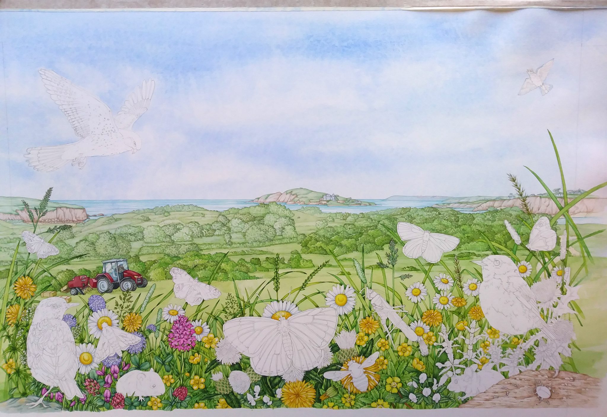 Illustrating a Coastal Hay Meadow Landscape - Lizzie Harper