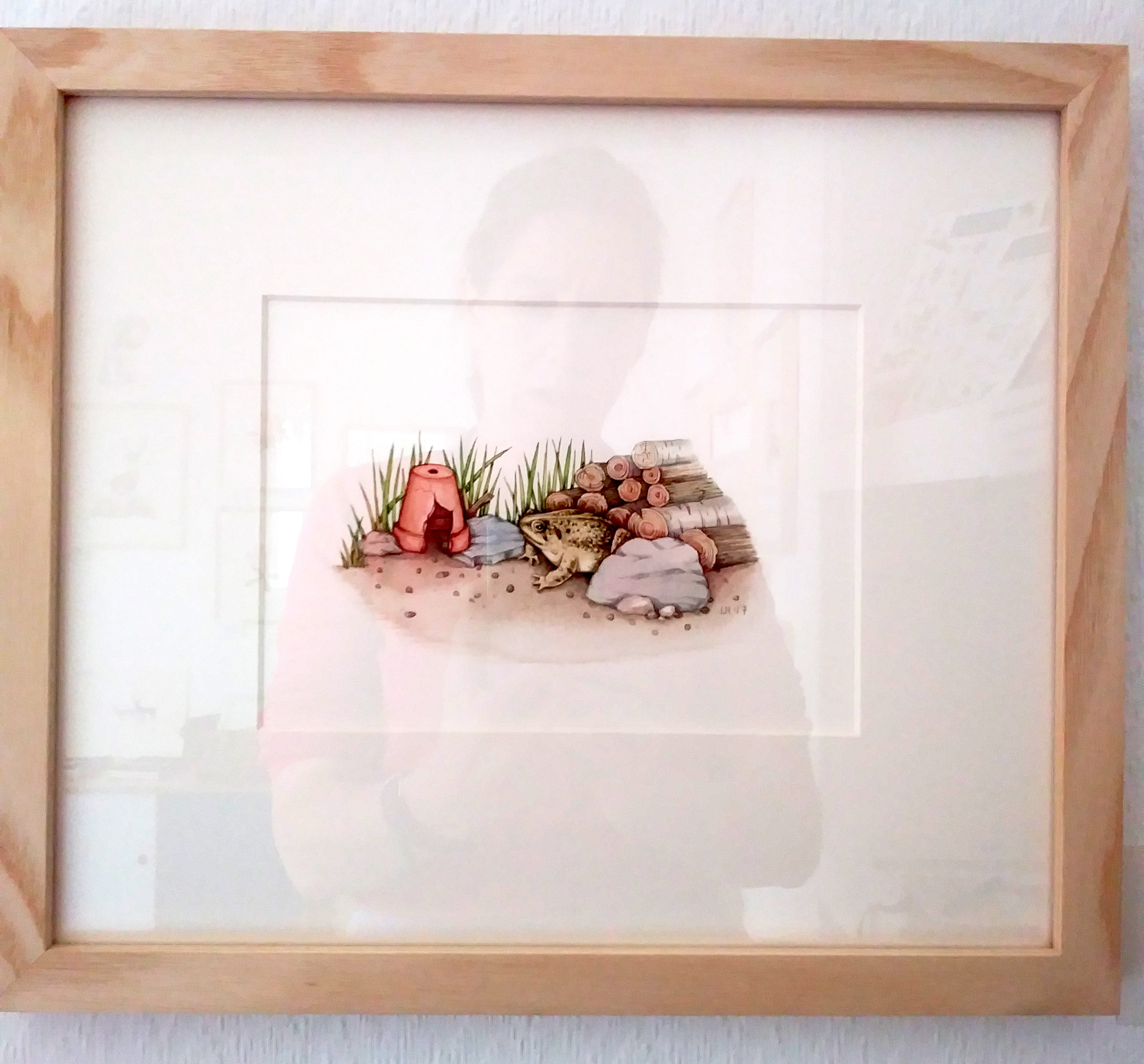 Toad in a wildlife garden Lizzie Harper original framed watercolour ...