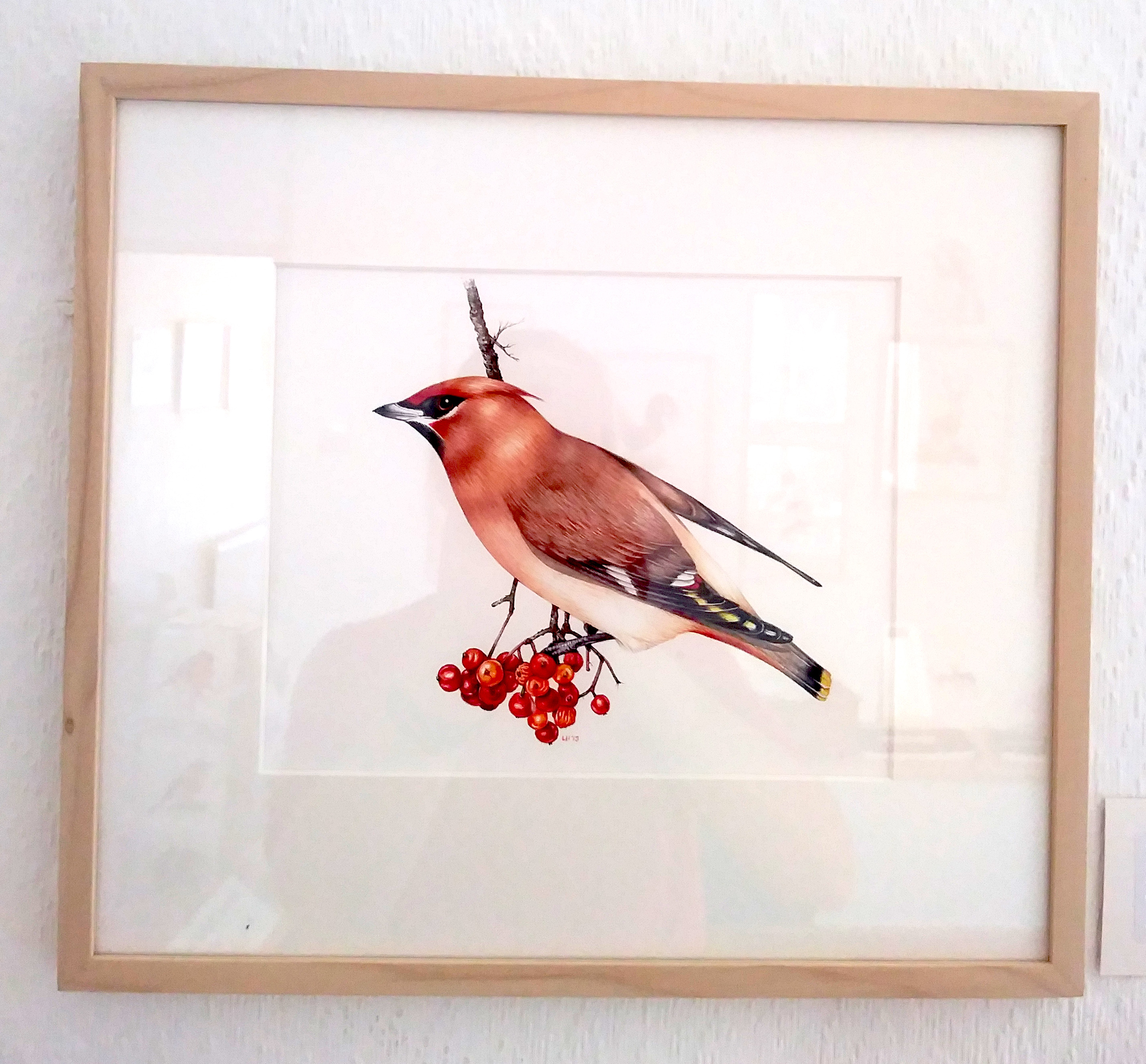 Framed Original Animal Illustrations Archives - Lizzie Harper