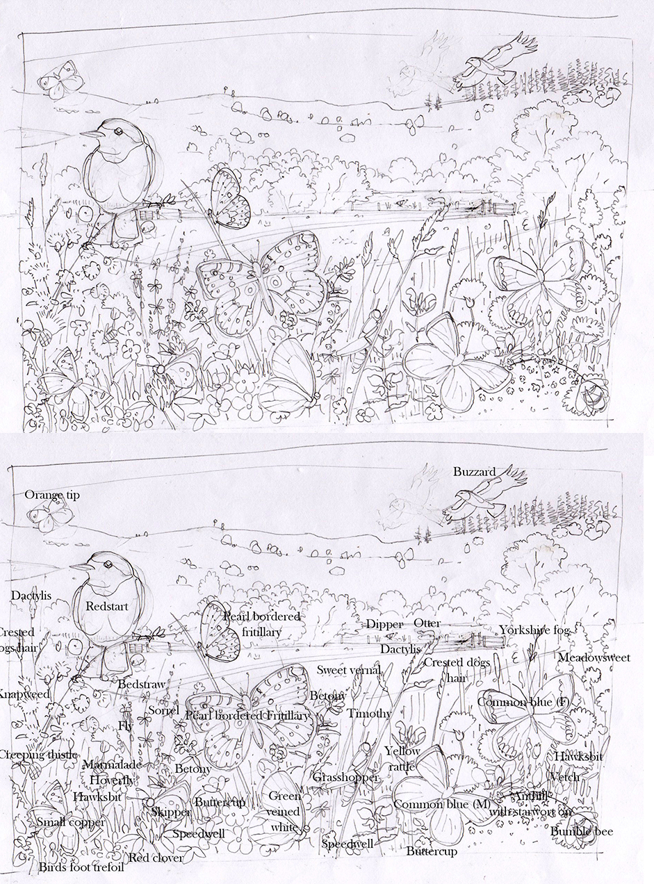 Illustrating a Wild Welsh Meadow of Butterflies - Lizzie Harper