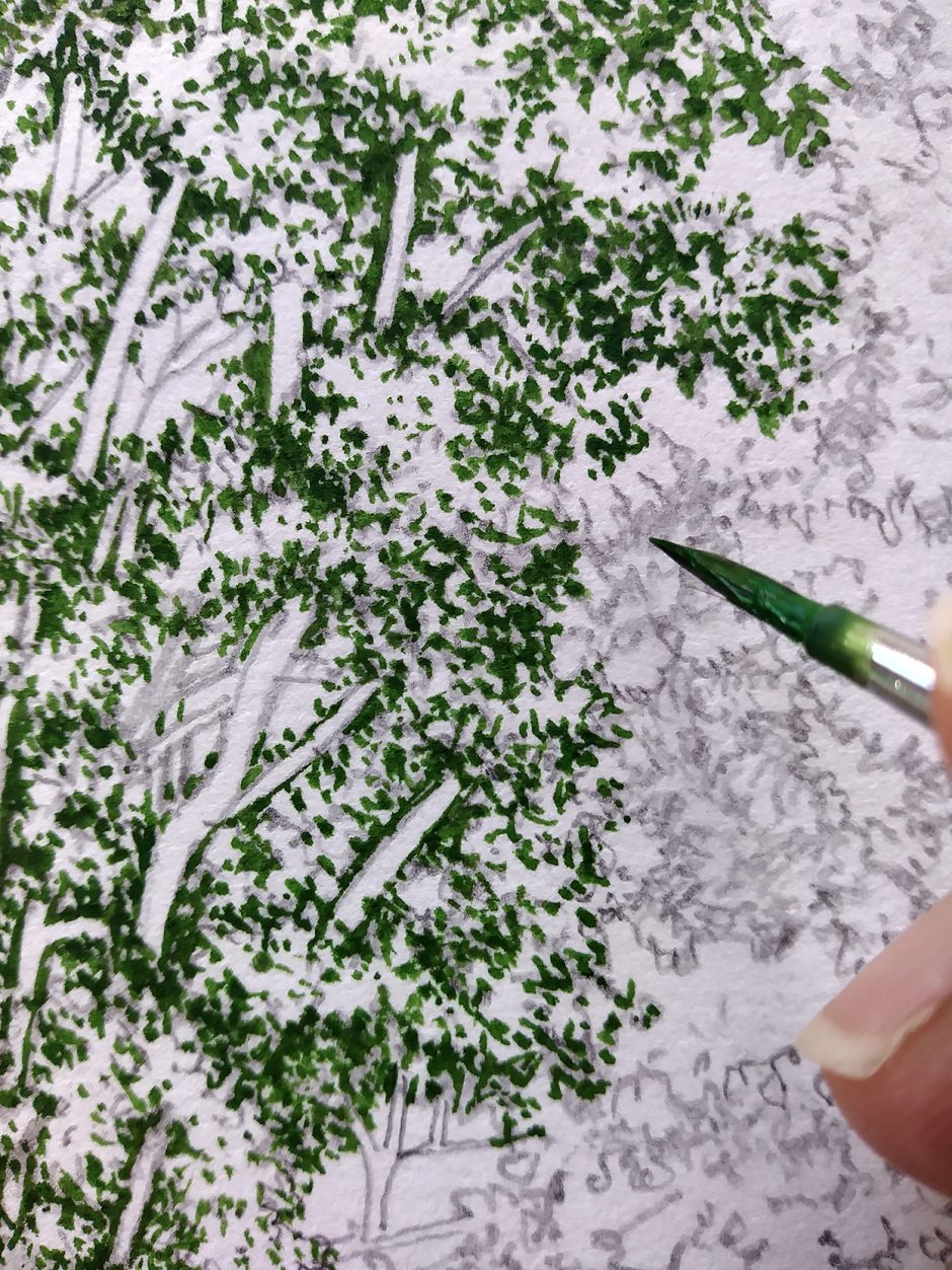 Sycamore Tree step by step - Lizzie Harper