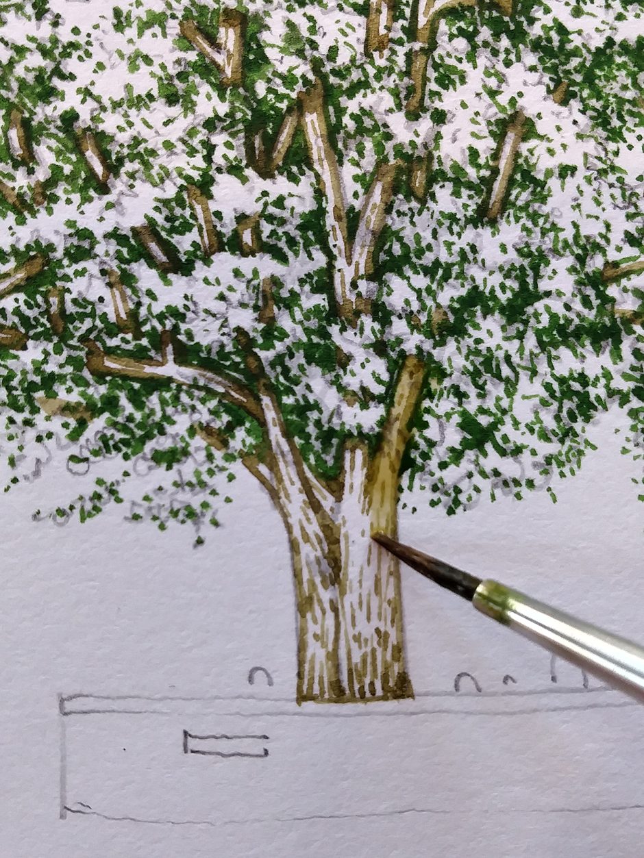 Sycamore Tree step by step - Lizzie Harper