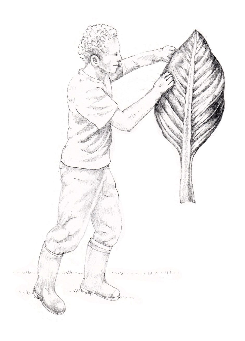 Botanical illustration Archives - Page 16 of 45 - Lizzie Harper