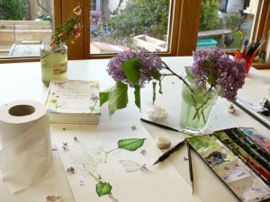 Lilac sketchbook botanical illustration by Lizzie Harper in progress ...