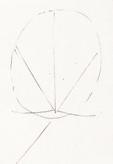How to Draw: Sycamore Leaf - Lizzie Harper