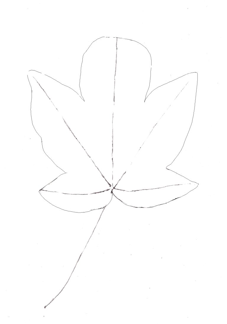 How to Draw: Sycamore Leaf - Lizzie Harper