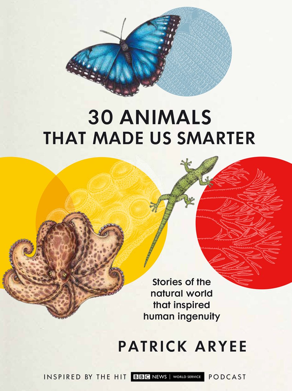 Illustrations for "30 animals that made us smarter" - Lizzie Harper